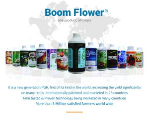 Boom Flower Fertilizer Nitrobenzene 20% W/W for All Major Crops
