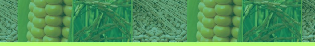 Cereals - Devi Cropscience