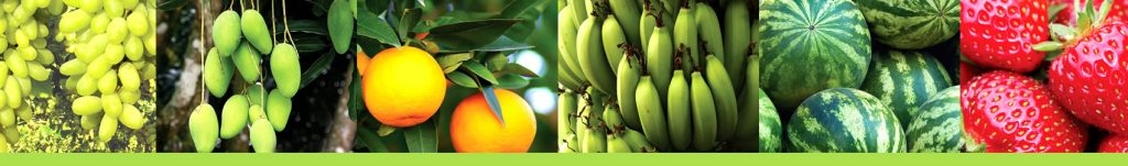 Fruit Crops - Devi Cropscience