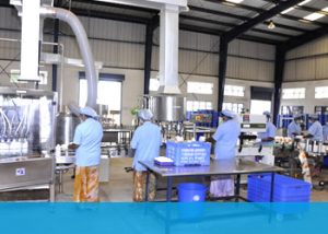 Manufacturing Units - Devi Cropscience