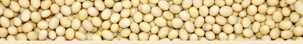 Soybean - Devi Cropscience