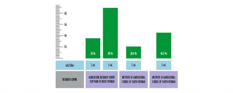 Watermelon - Devi Cropscience